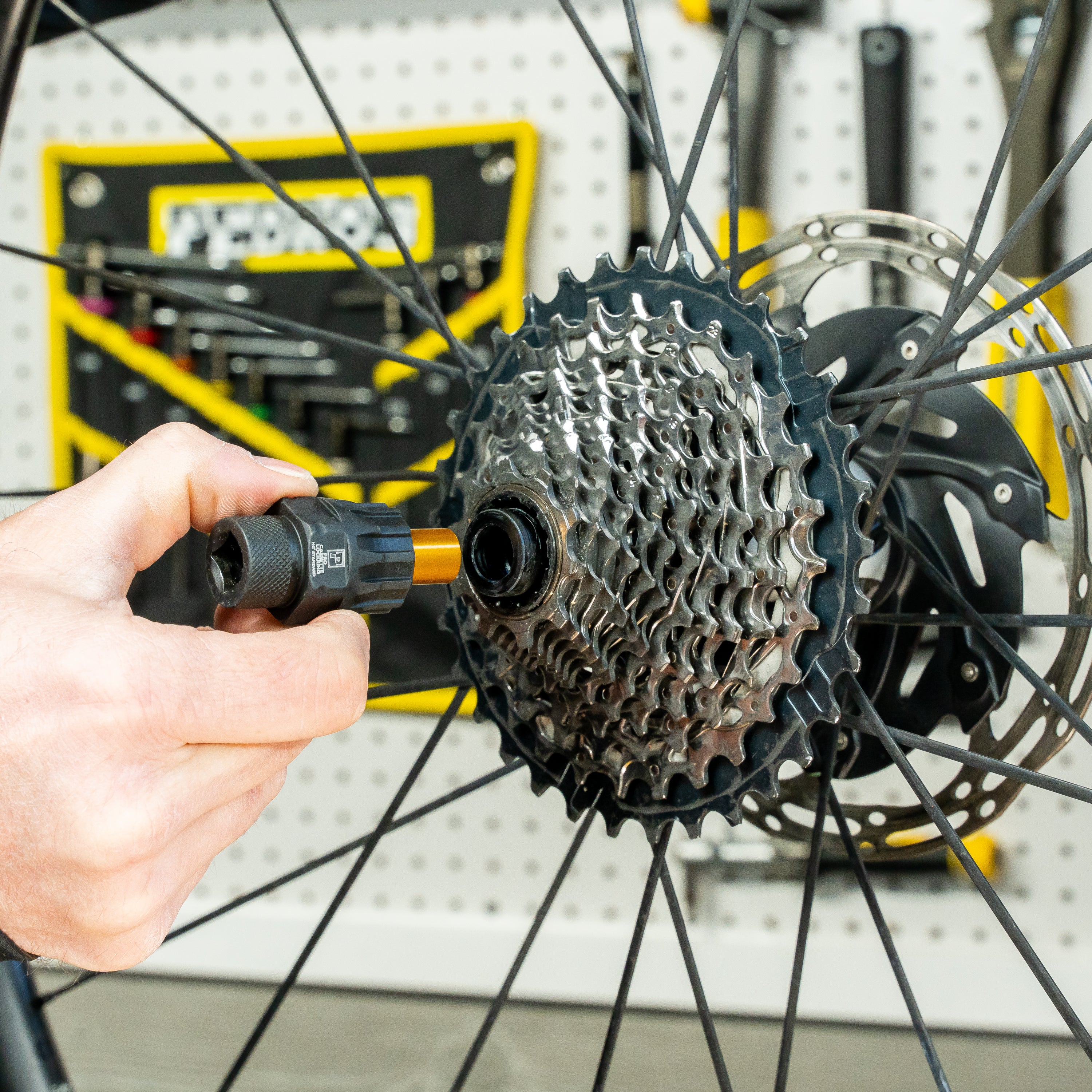 Pro Cassette Lockring Socket with Pin – Pedro's NA